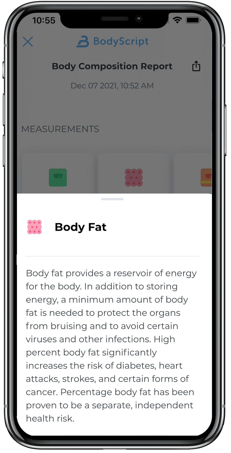 BodyScript Mobile App - BodyScript